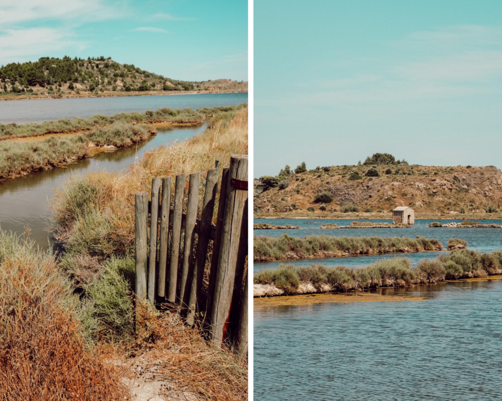 Visiter Peyriac-de-Mer et Bages le temps d'une journée dans l'Aude