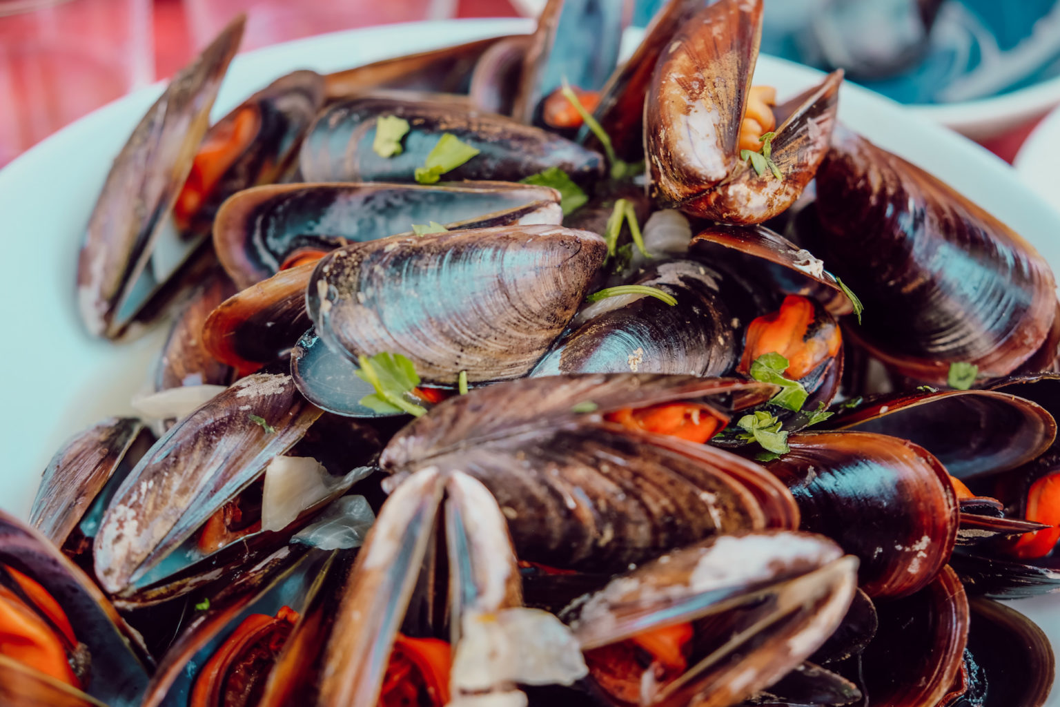 Visiter Peyriac-de-Mer et Bages le temps d'une journée dans l'Aude